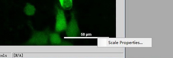 NIS-Viewer使用指南-清华大学蛋白质研究技术中心